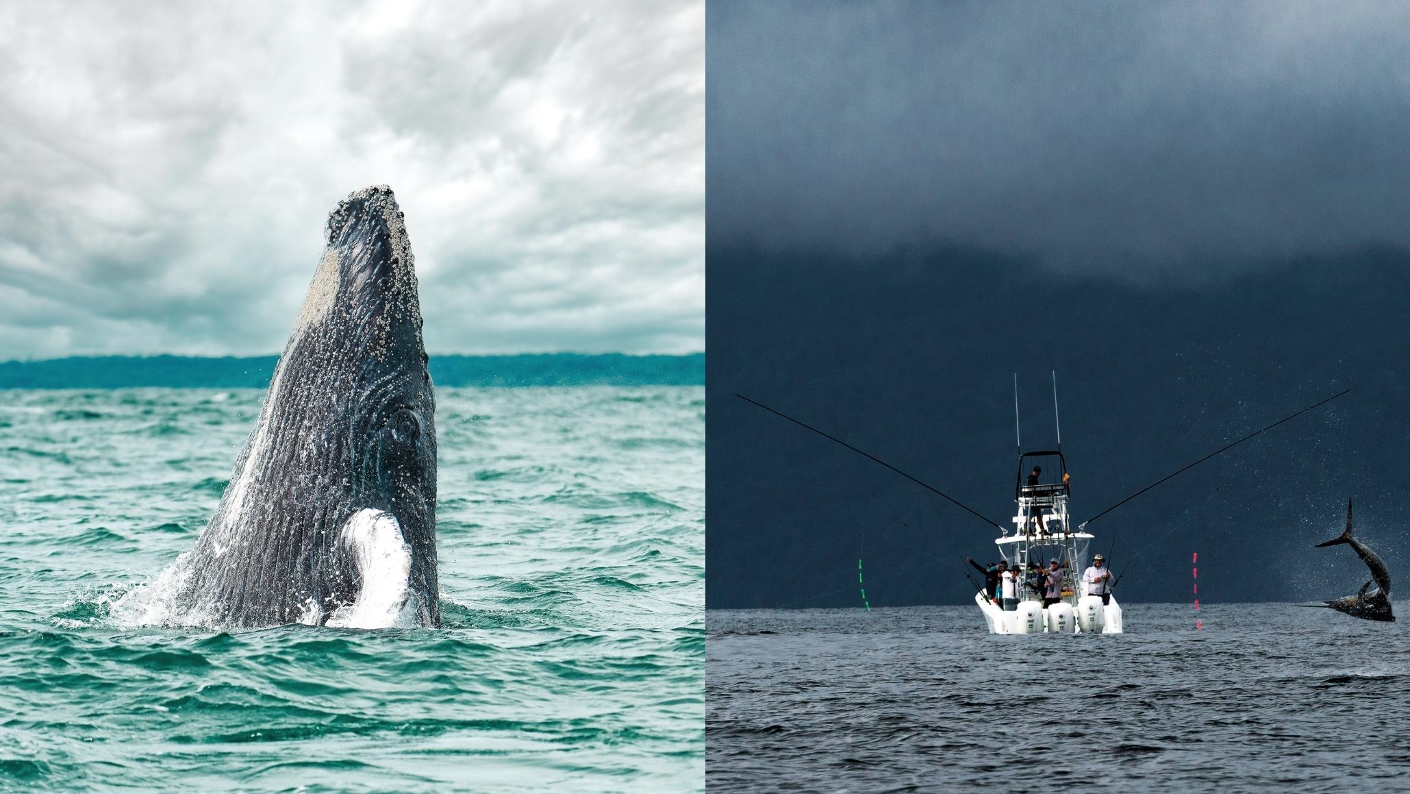 Inside Colombia’s Last Great Sportfishing Frontier, Where Tuna Frenzies ...